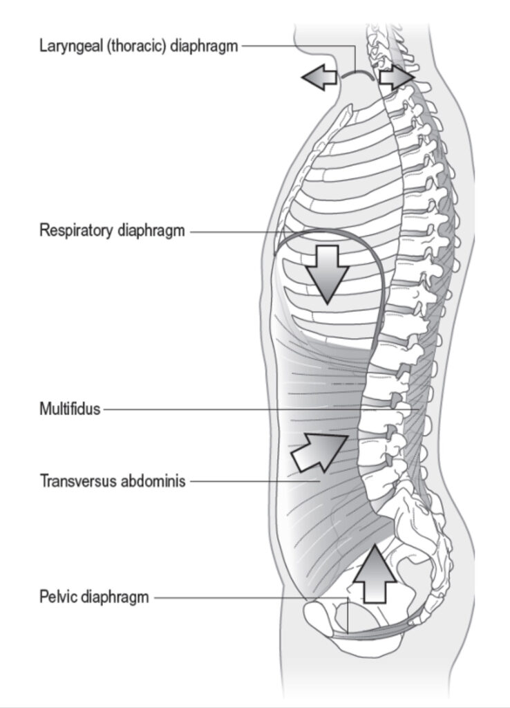 Garner Pelvic Health | Integrative Wellness - Physiotherapy
